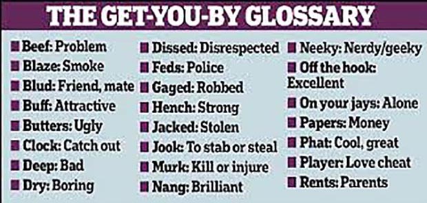 Would You Ban Slang? | English & Media Centre