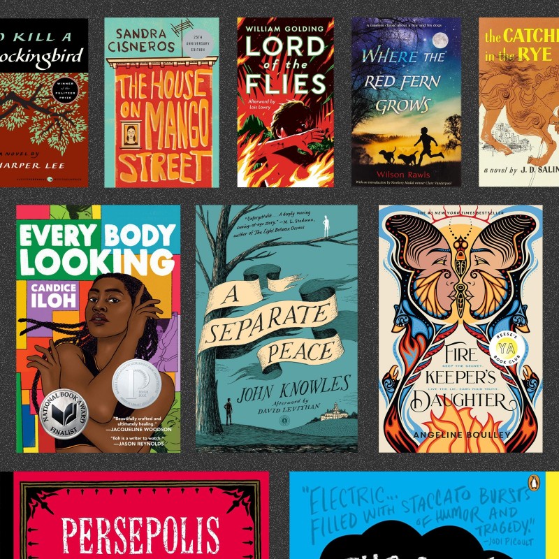 Let's Talk About Novels | English & Media Centre